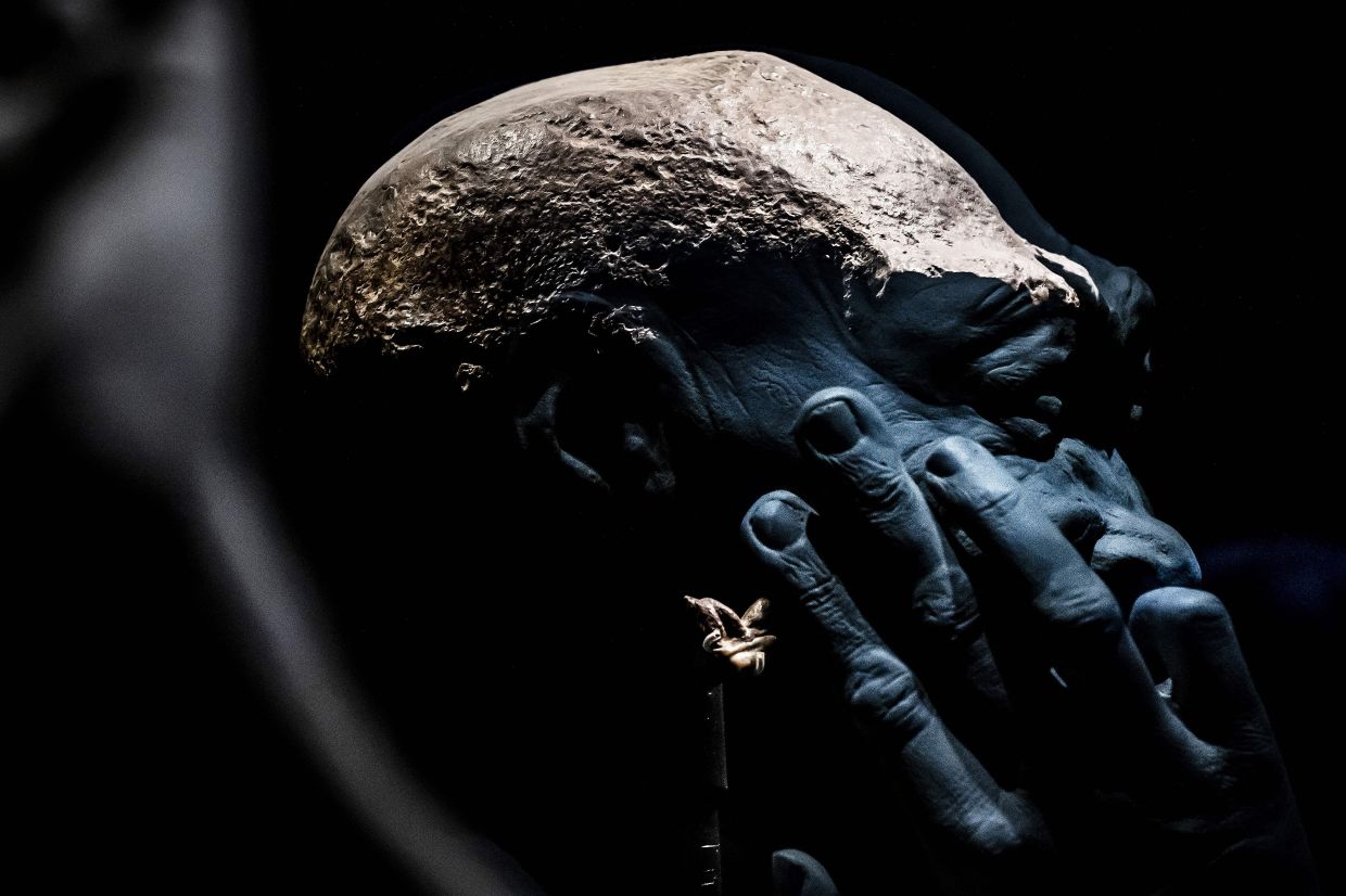 Let the 'Java Man' come home, says Indonesia to Dutch museum | The Star