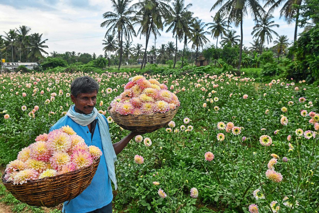 India faces headwinds from external sector | The Star