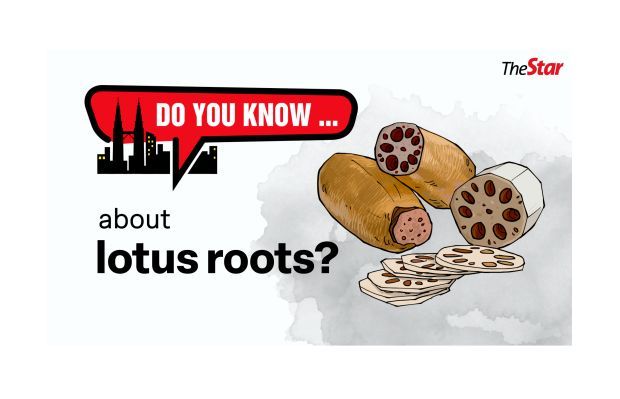Do you know... about lotus roots? | The Star