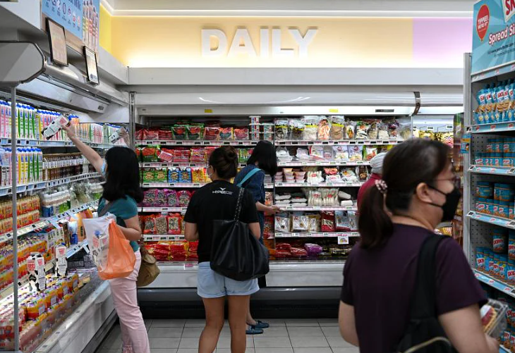 Inflation in Singapore to stay high next year even as economic growth ...