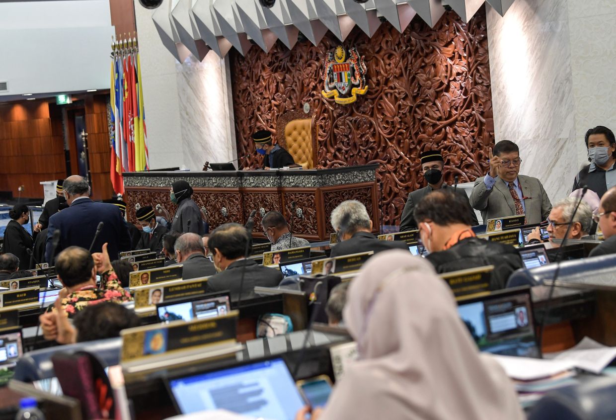 INTERACTIVE: How diverse is our Dewan Rakyat? Find out here | The Star