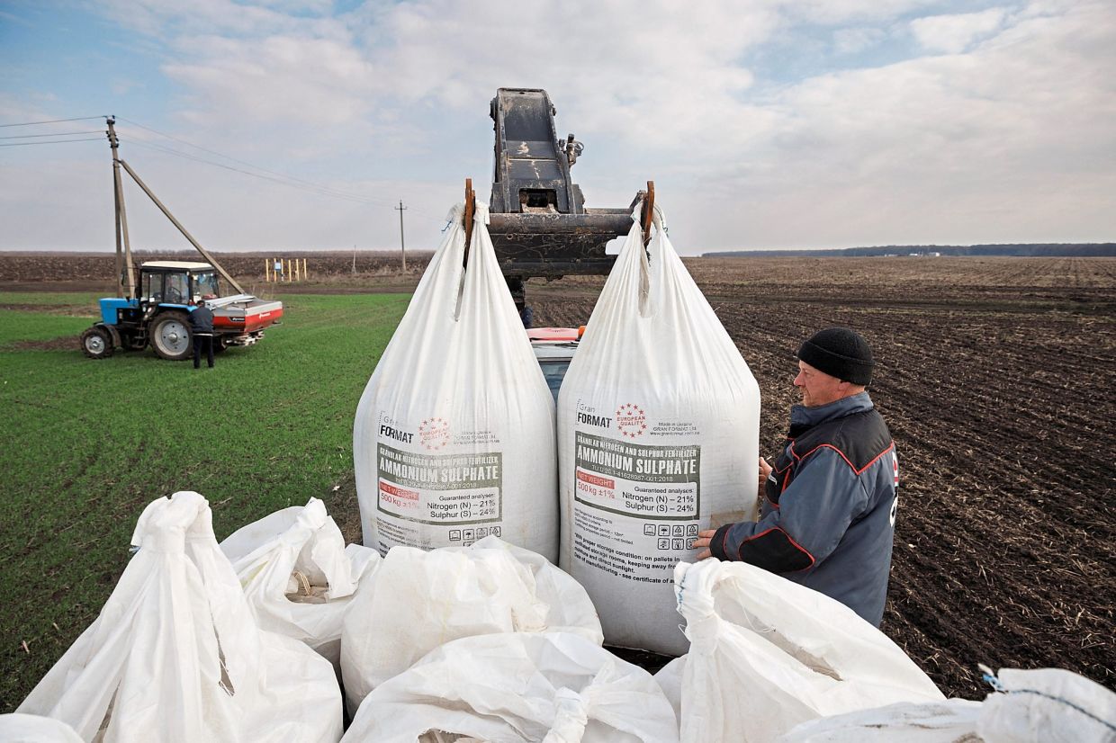 Fertiliser maker CF Industries still bullish as price rally takes a ...