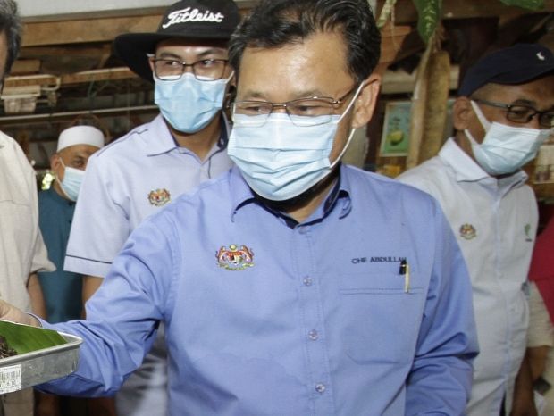 ‘Che Lah victim of internal sabotage’ | The Star