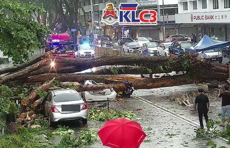Six injured after tree falls on car, bike on Jalan Maluri | The Star