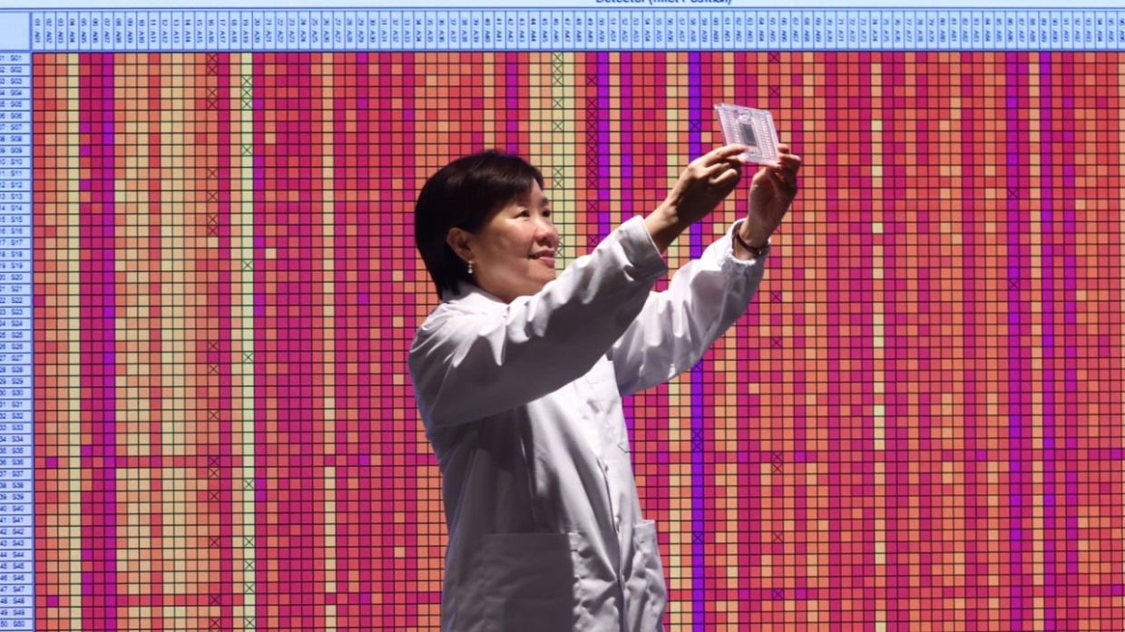 Hong Kong’s first woman university president Nancy Ip gets mainland ...