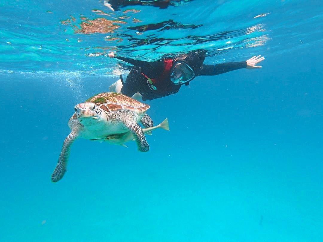 The calm before the monsoon in Redang, where the turtles freely swim ...