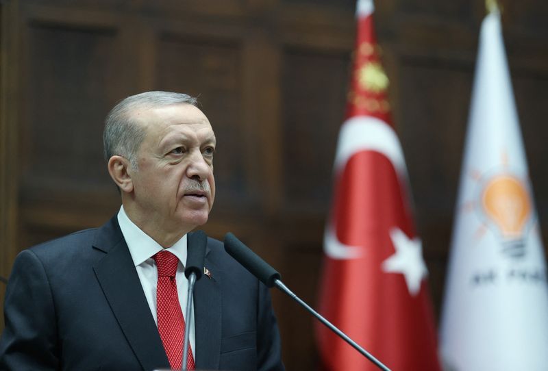 Turkey seeks Ukraine peace talks despite Western actions, Erdogan says ...