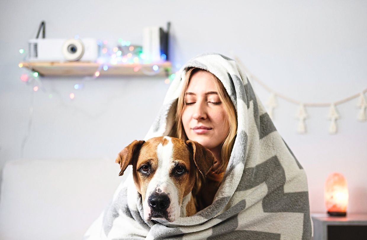 How Do You Know When A Dog Is Insecure