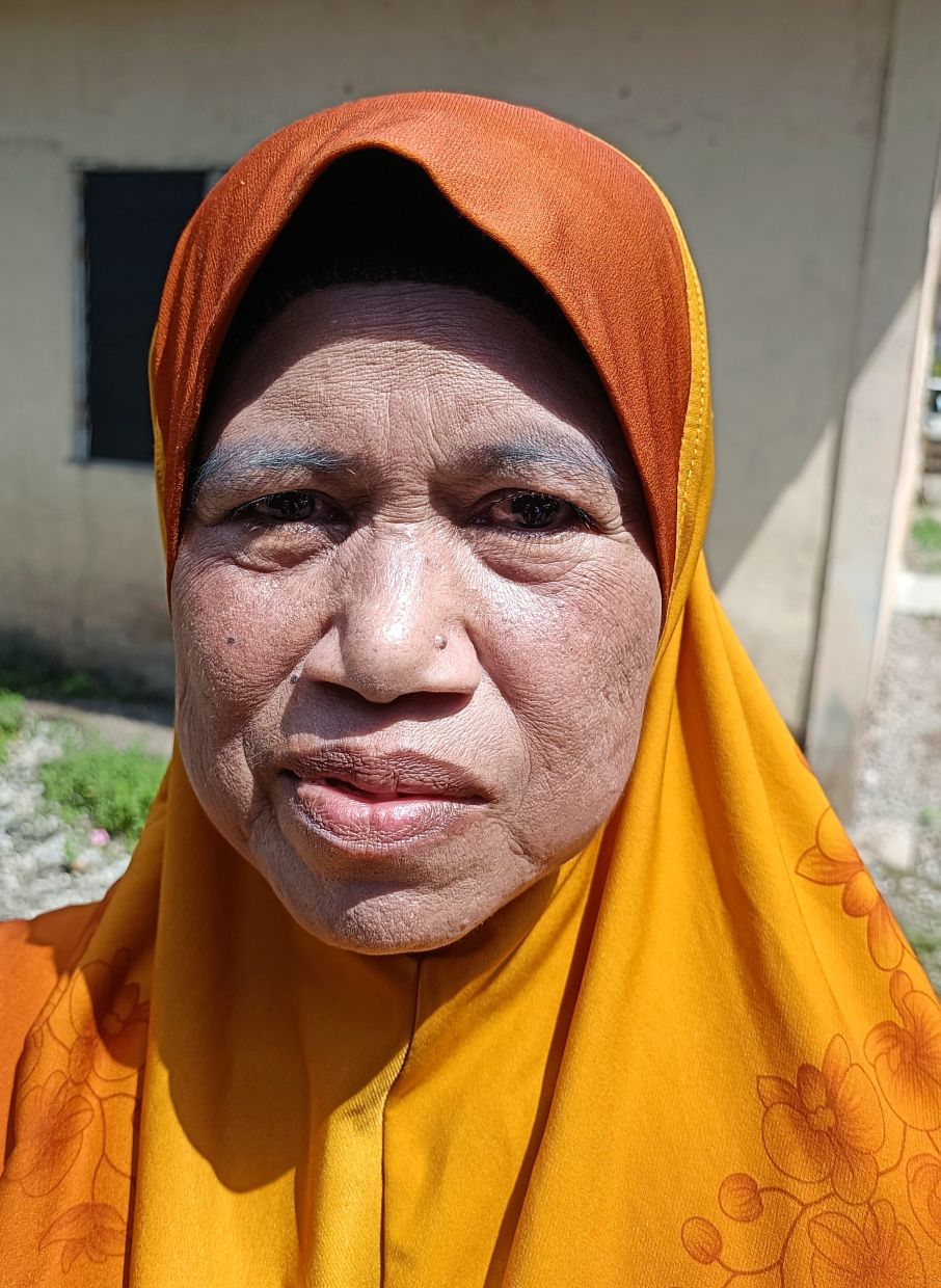 Water supply blues for 50 families in Jerlun village | The Star