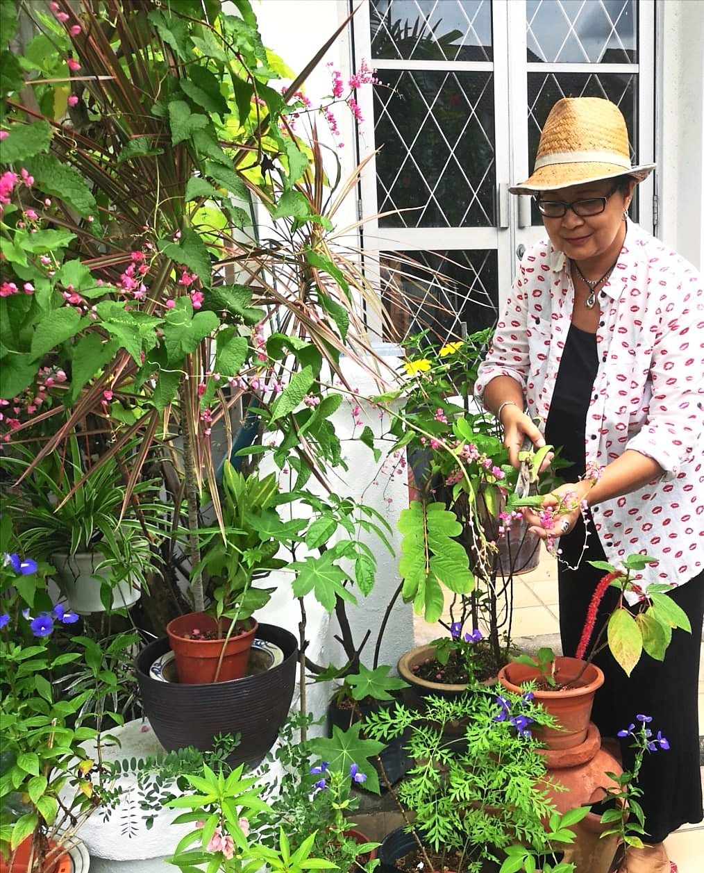 Malaysian ecoprint fabric maker grows tannin-rich plants in her terrace ...
