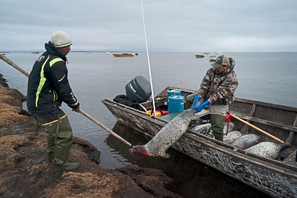Photo essay: Alaska villagers stay put on their island despite climate ...