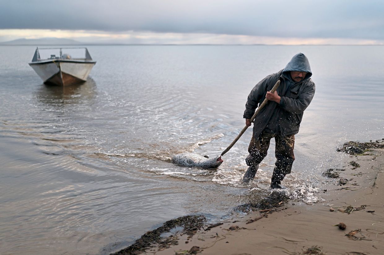 Photo essay: Alaska villagers stay put on their island despite climate ...