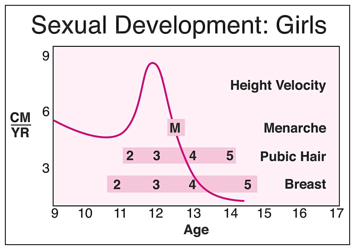 When puberty strikes too early | The Star