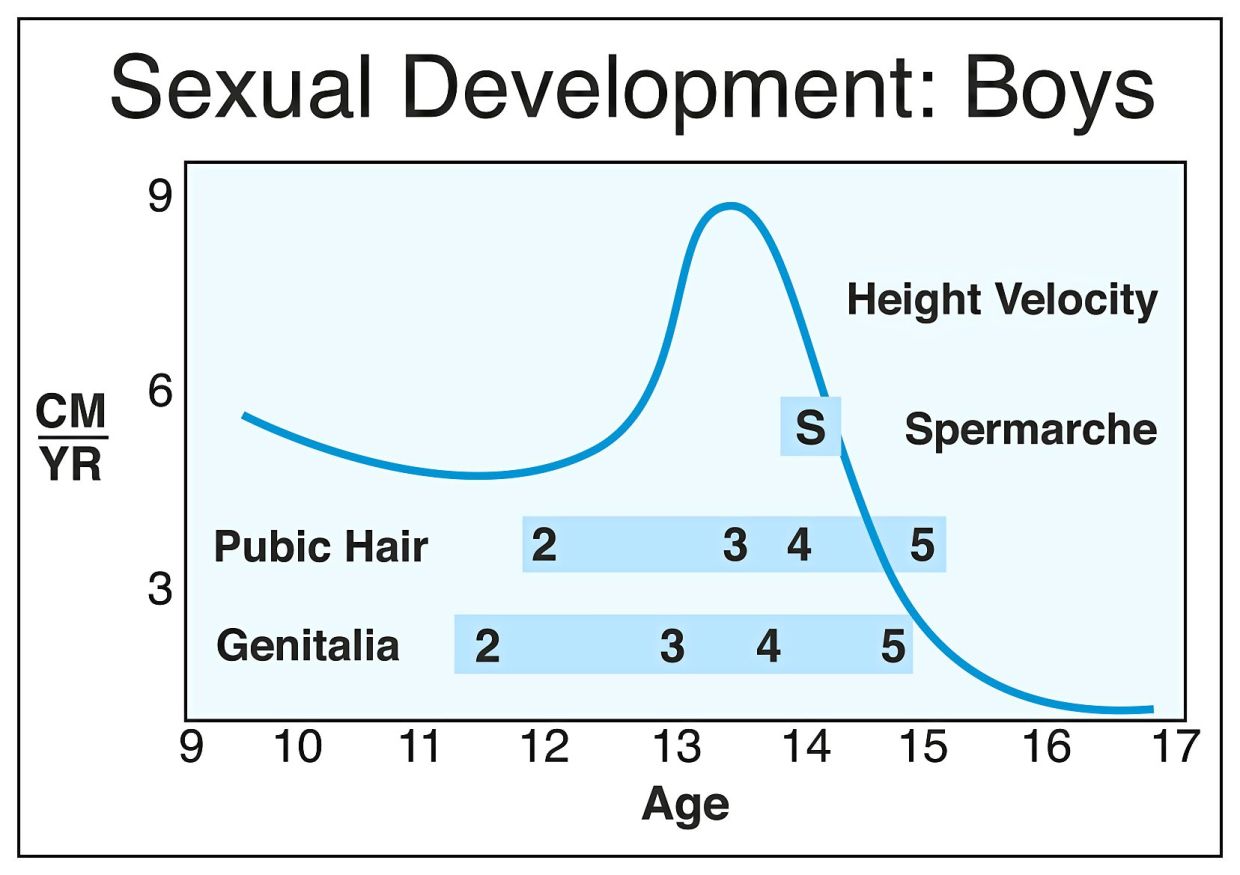 When puberty strikes too early | The Star