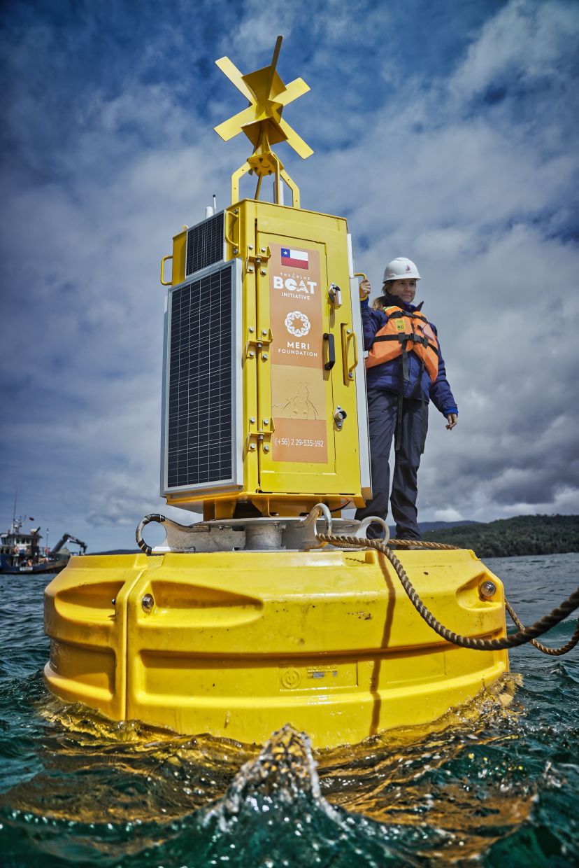 Commotion in the ocean: Smart buoys to protect whales from noise | The Star