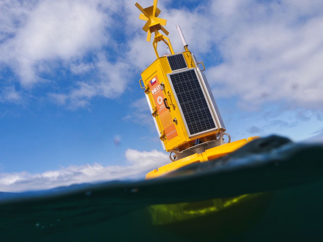 Commotion in the ocean: Smart buoys to protect whales from noise | The Star