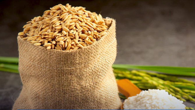 Thailand’s Hom Mali dethroned as World’s Best Rice after losing ...