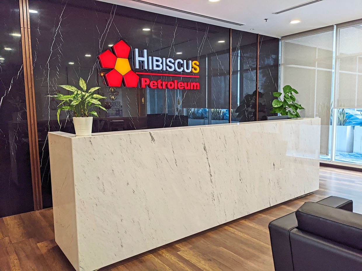 Hibiscus net profit boosted by increased volumes | The Star