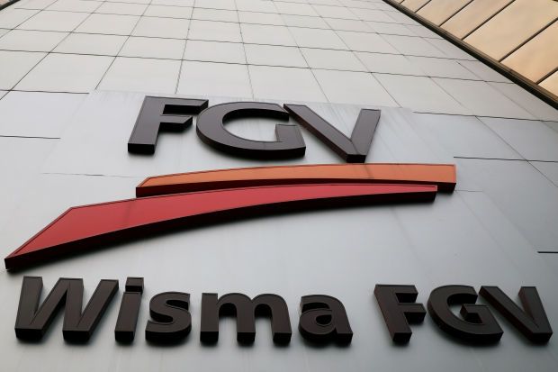 FGV sees better output in FY23 | The Star