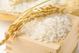Export prices of Vietnamese rice are the world's highest | The Star