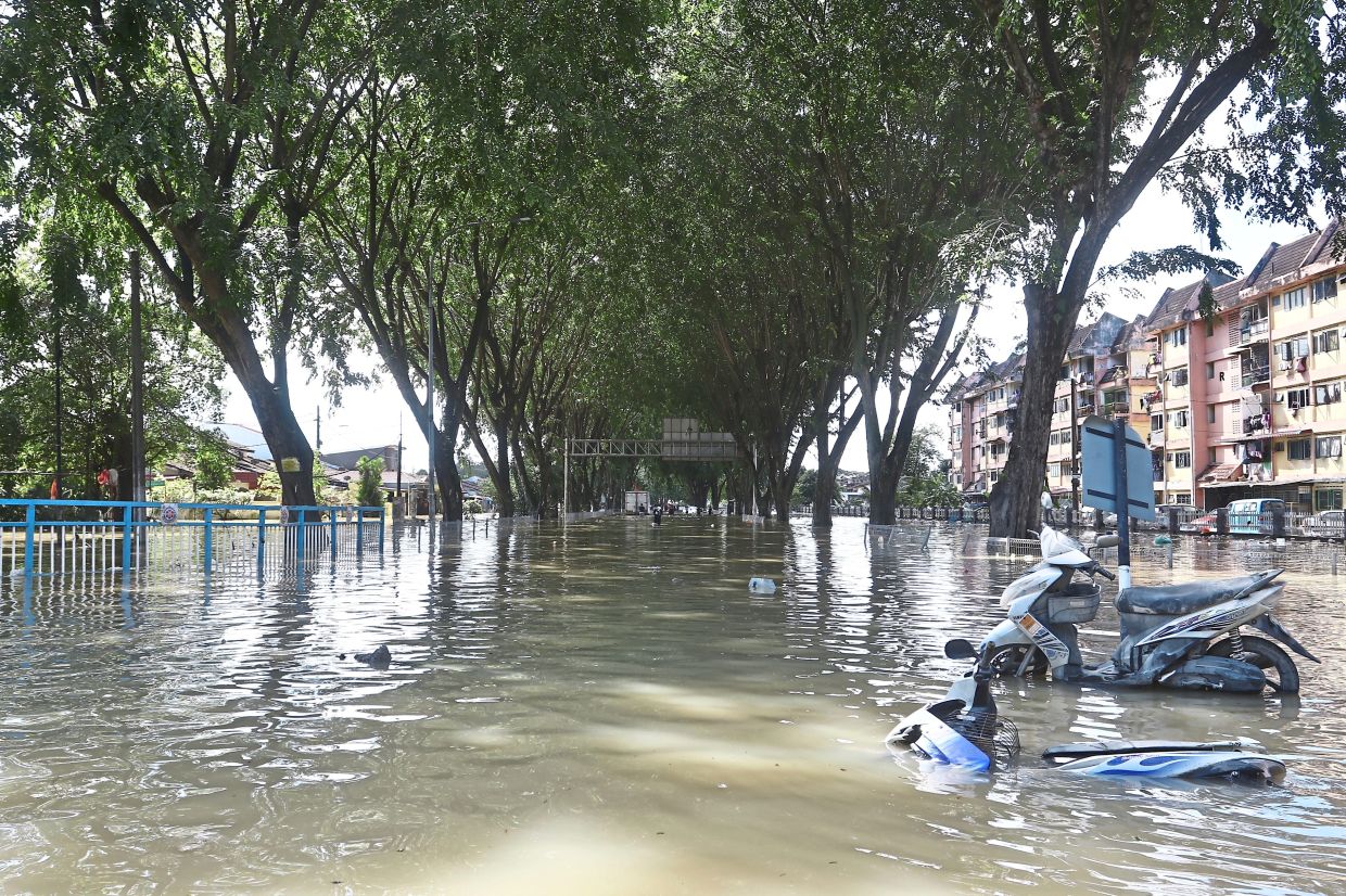 Deliver on pledges to protect the environment | The Star