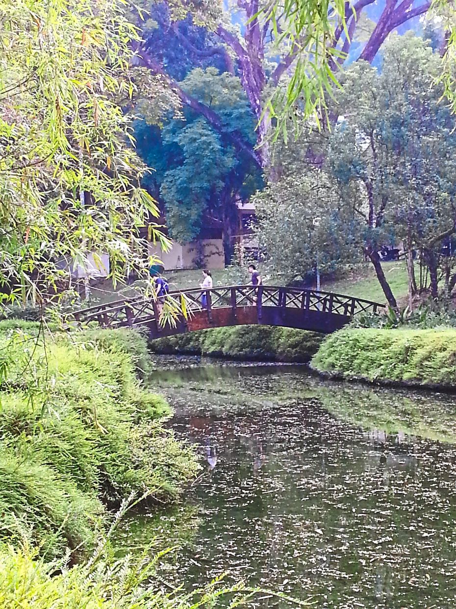 Bask up close in nature’s splendour | The Star