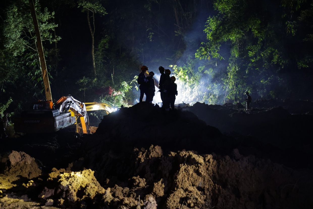 Terrestre – La Malaisie