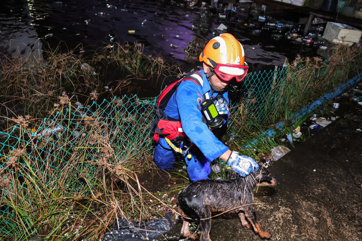 King tide: Hundreds evacuated in Sandakan as their homes get washed away | The Star