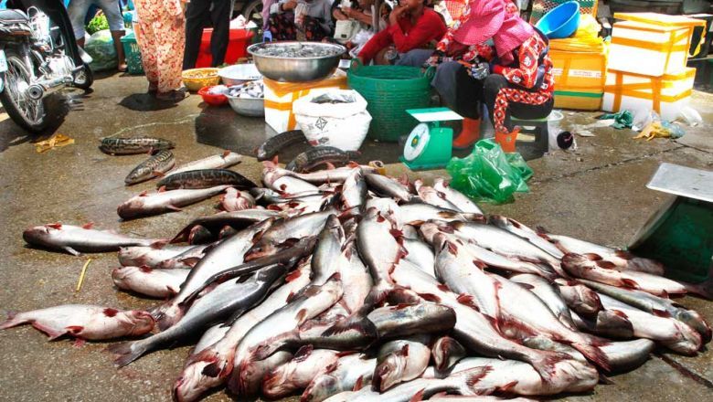 First export of ‘pra’ fish to China seen January at earliest | The Star