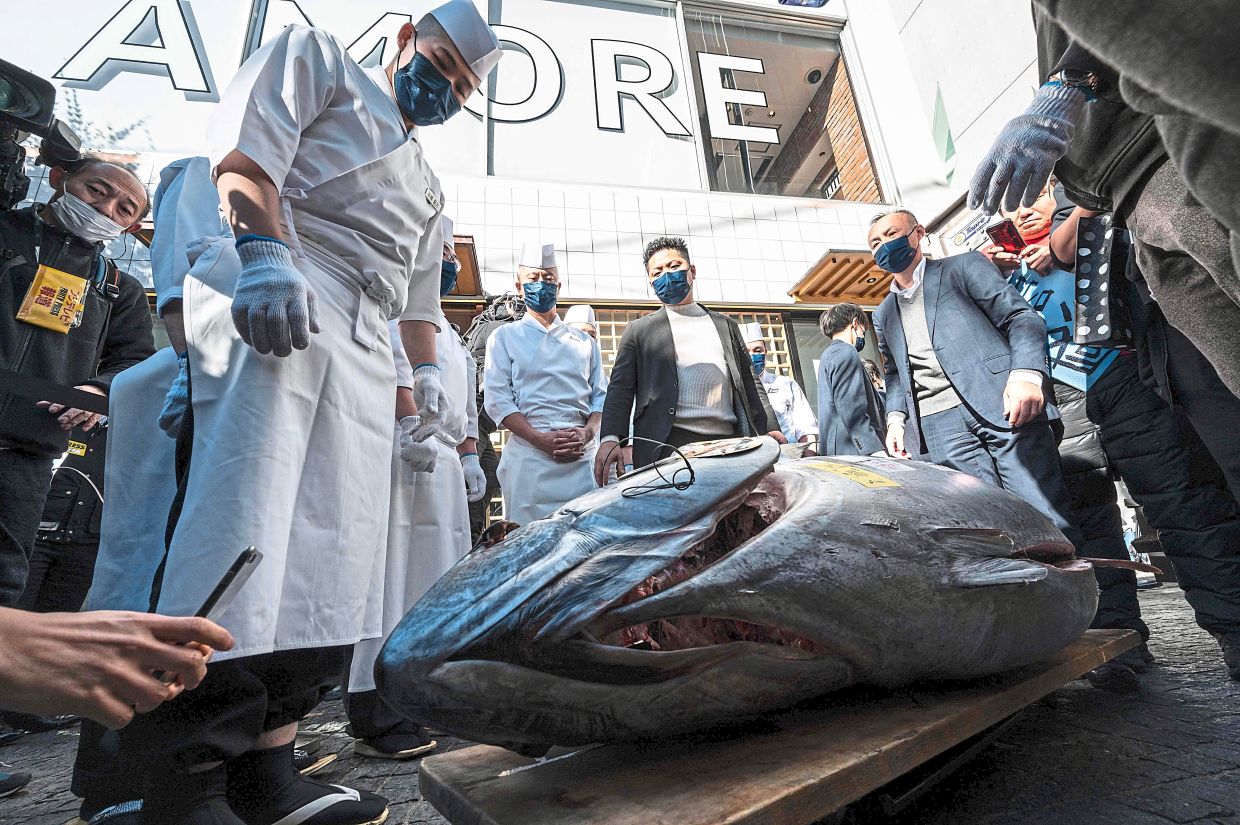 Tuna price soars past US$270,000 at auction | The Star