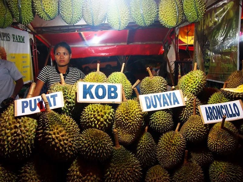 Filipino durian growers eye more income as exports to China cleared ...