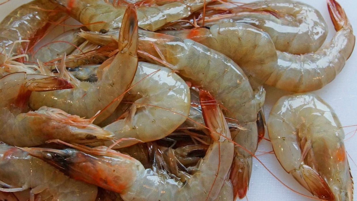 Myanmar exports over 12,000 tonnes of shrimps in nine months | The Star