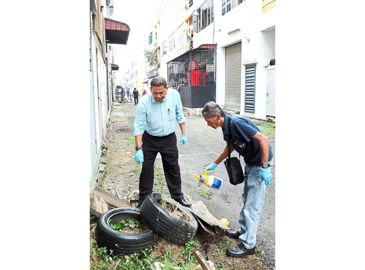 New approach to fighting dengue | The Star