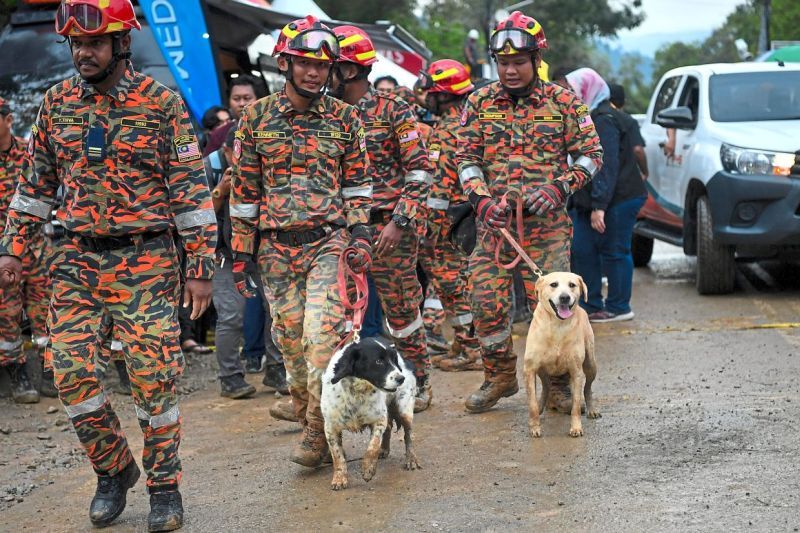 SAR success thanks to canines | The Star