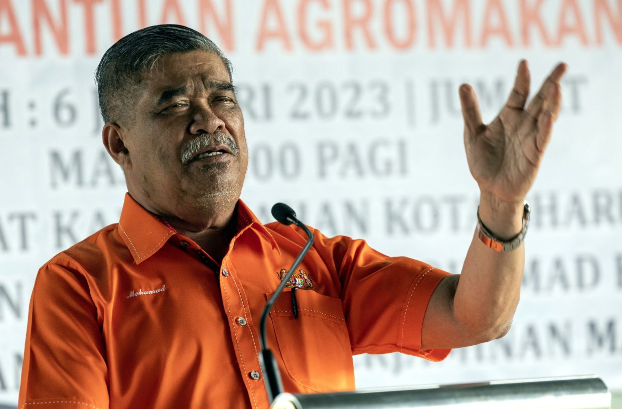 Importing eggs from India only temporary measure, says Mat Sabu | The Star