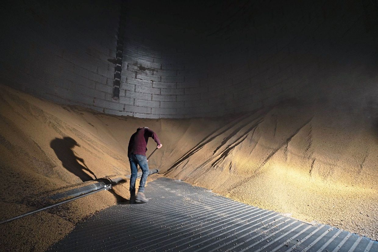 Funds lower risk in CBOT corn, soy ahead of pivotal US data | The Star