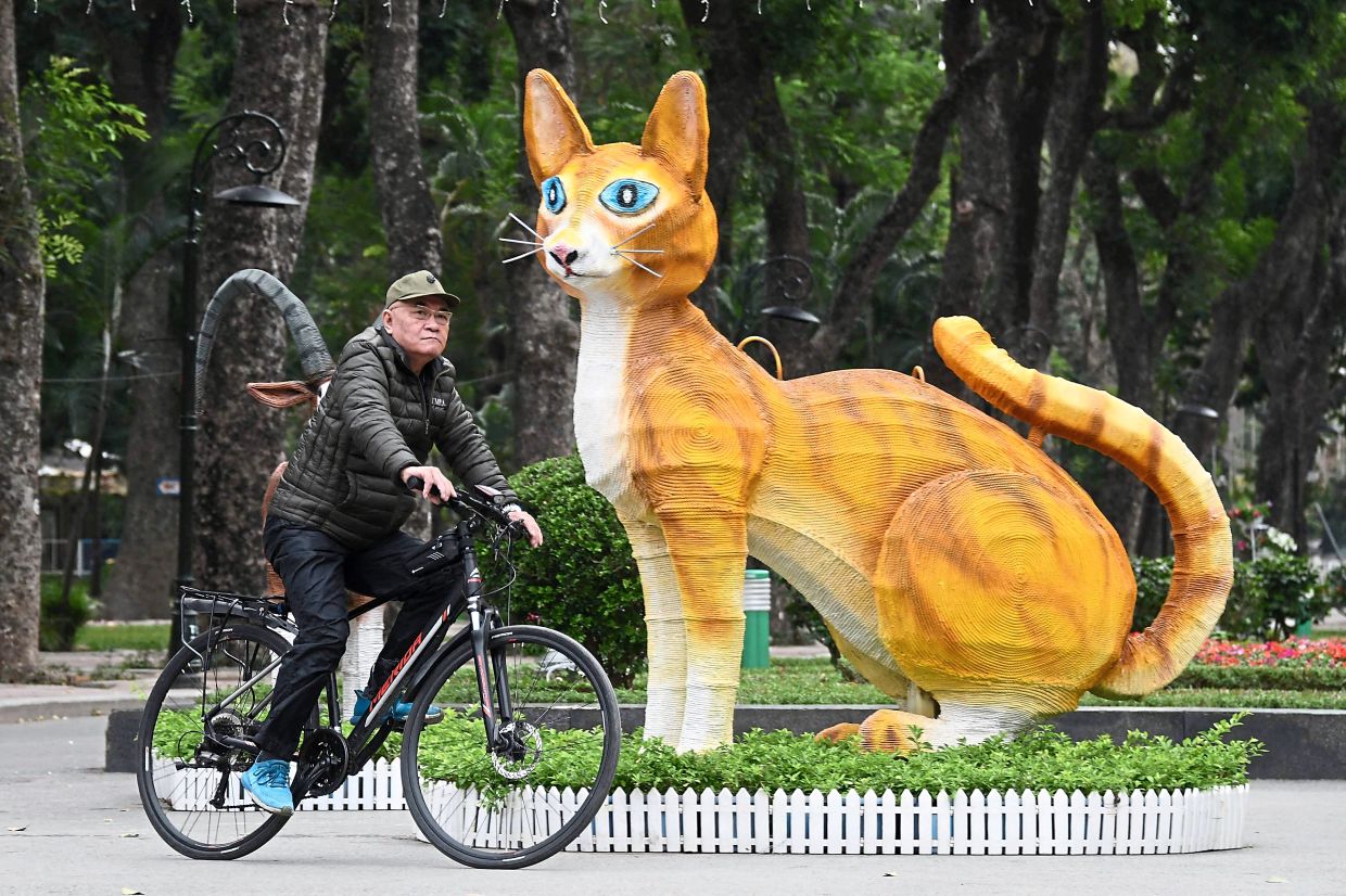 Why Vietnam is celebrating the cat, not the rabbit | The Star