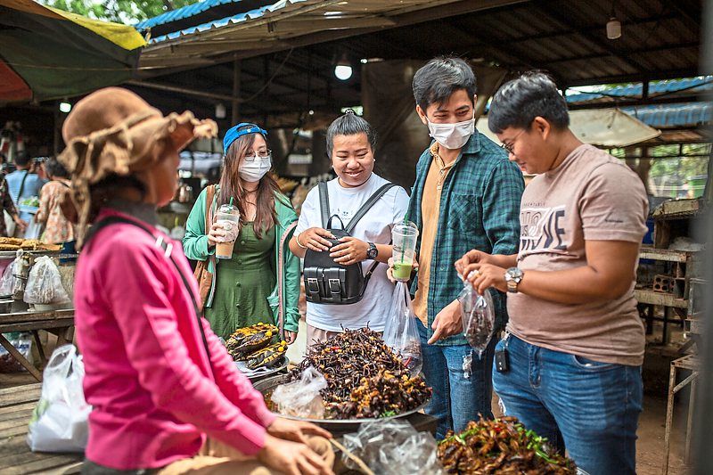 In rural Cambodia, fried tarantulas are a crispy delicacy | The Star