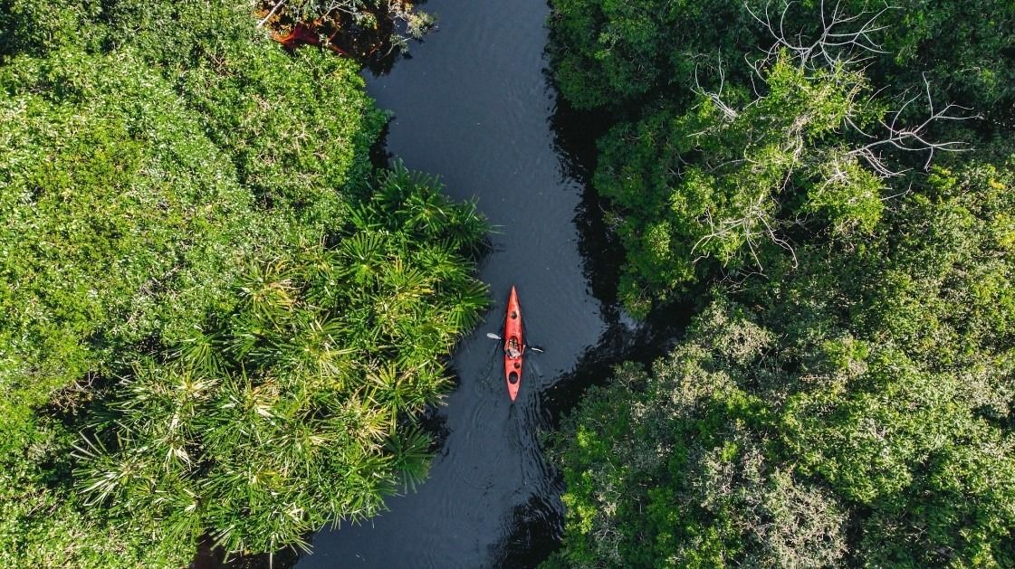 Indonesia receives RM437mil for climate change and biodiversity fund ...