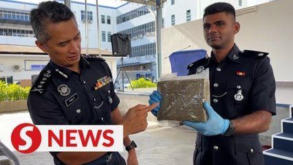 Seven arrested and RM2mil worth of ganja seized in raid | The Star