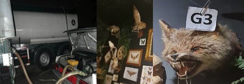 RM64mil worth of smuggled wildlife, contraband seized nationwide | The Star