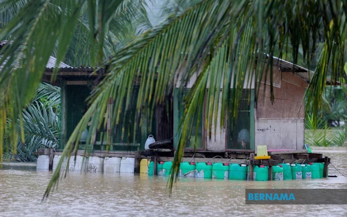 Floods: Villager builds floating chicken coop, cage to help save ...