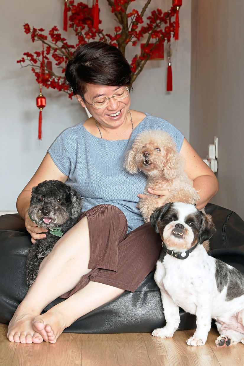 Treat animals with kindness, says pet service provider | The Star