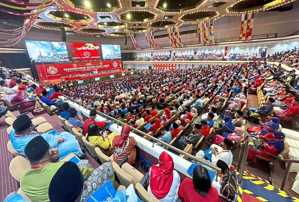 Dark horse in Umno VP race | The Star