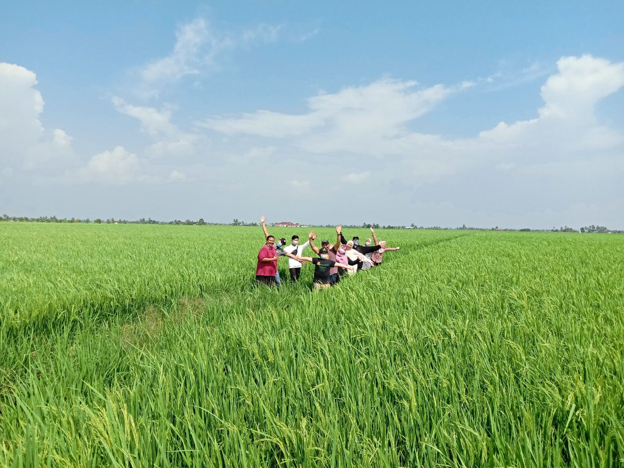 Discover Sekinchan’s treasures | The Star