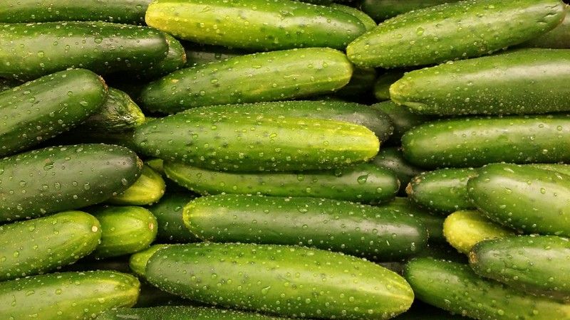Place A Frozen Cucumber On Your Face How Cold Can Be Used As A Beauty Booster The Star