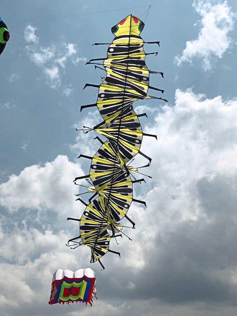 Extra parking bays for kite fest visitors | The Star