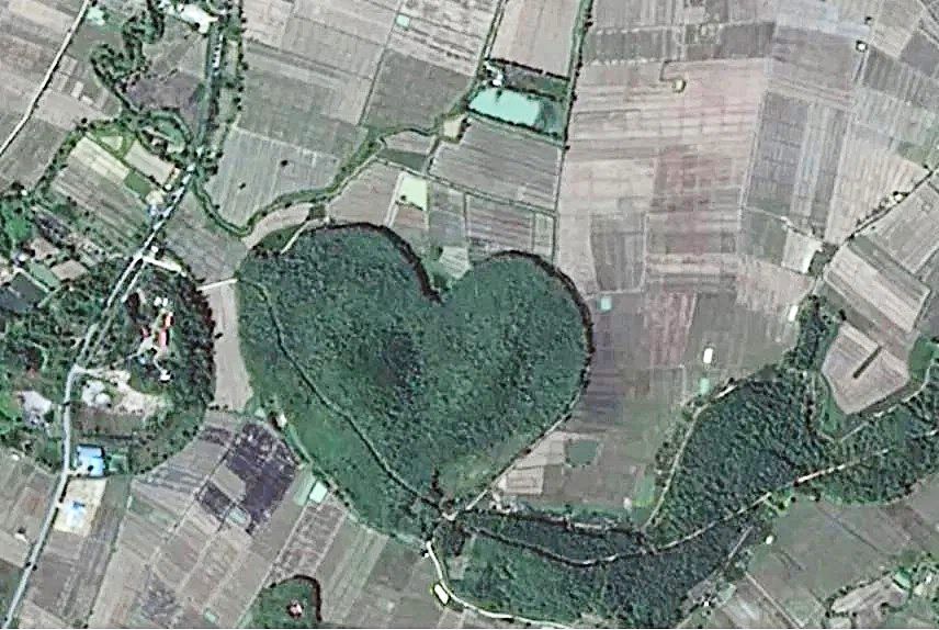 Heart-shaped forest spotted in Chiang Rai | The Star