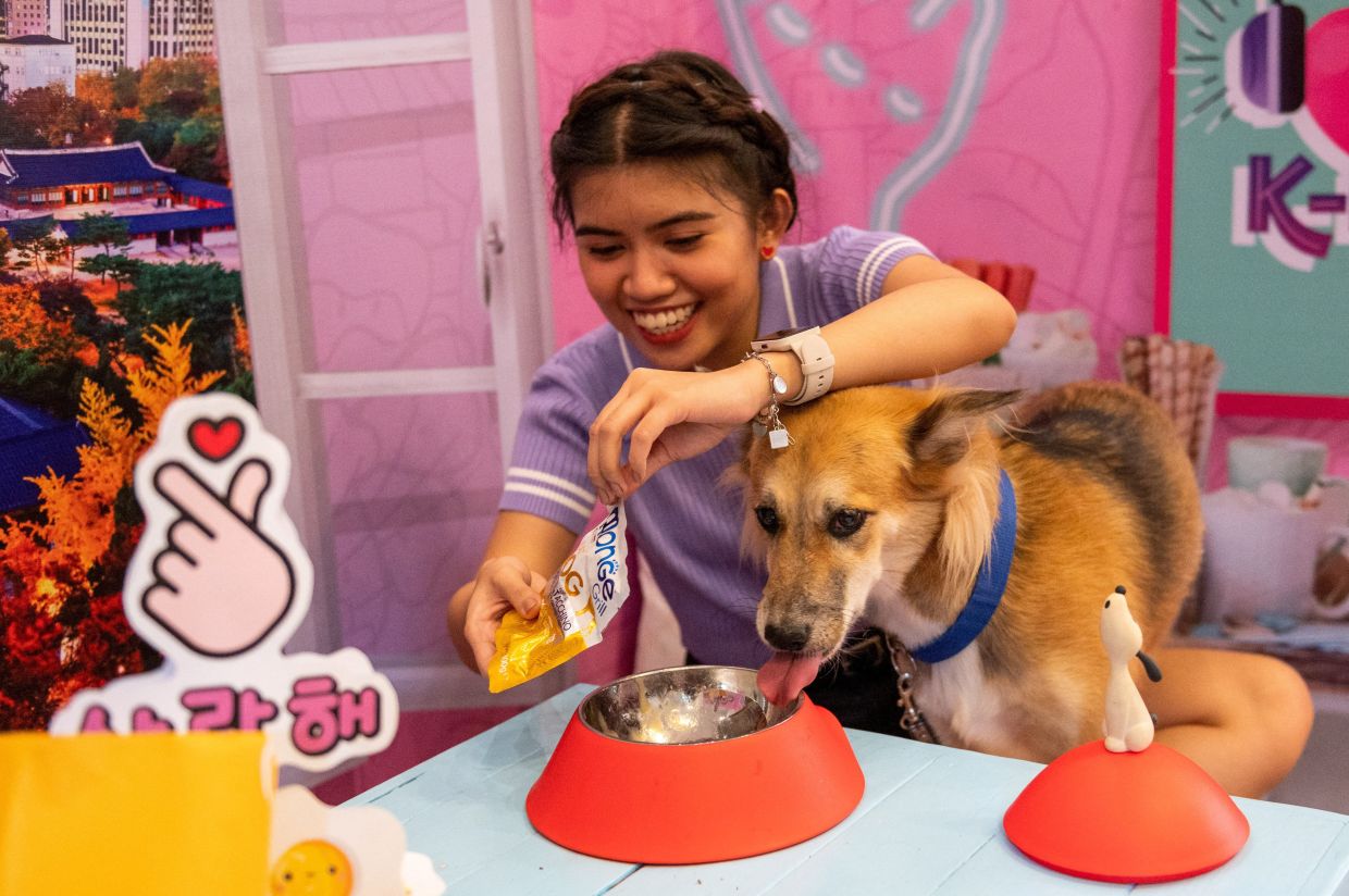 In the Philippines, animal lovers book Valentine's dates with shelter ...