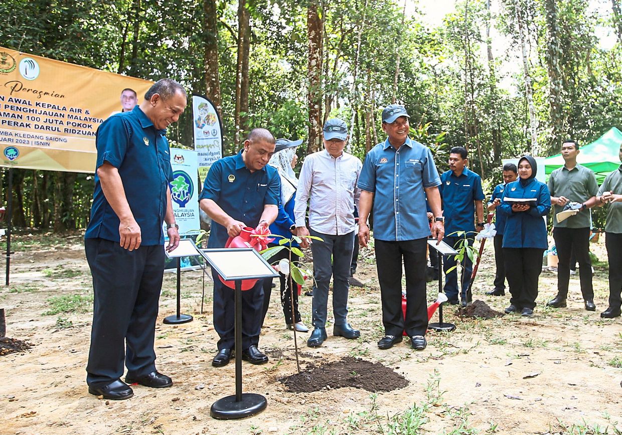 Eco-concept gallery planned for Kledang Saiong park | The Star